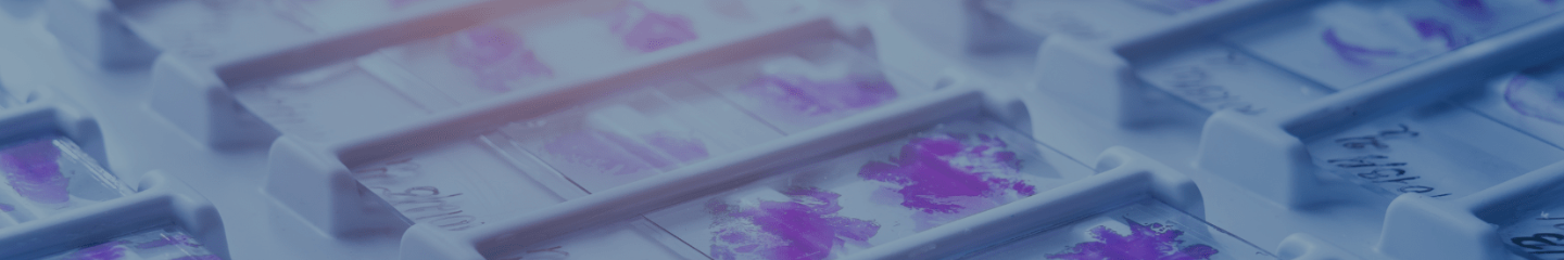 Lucidity: Histopathology Imaging Solution - Alimentiv