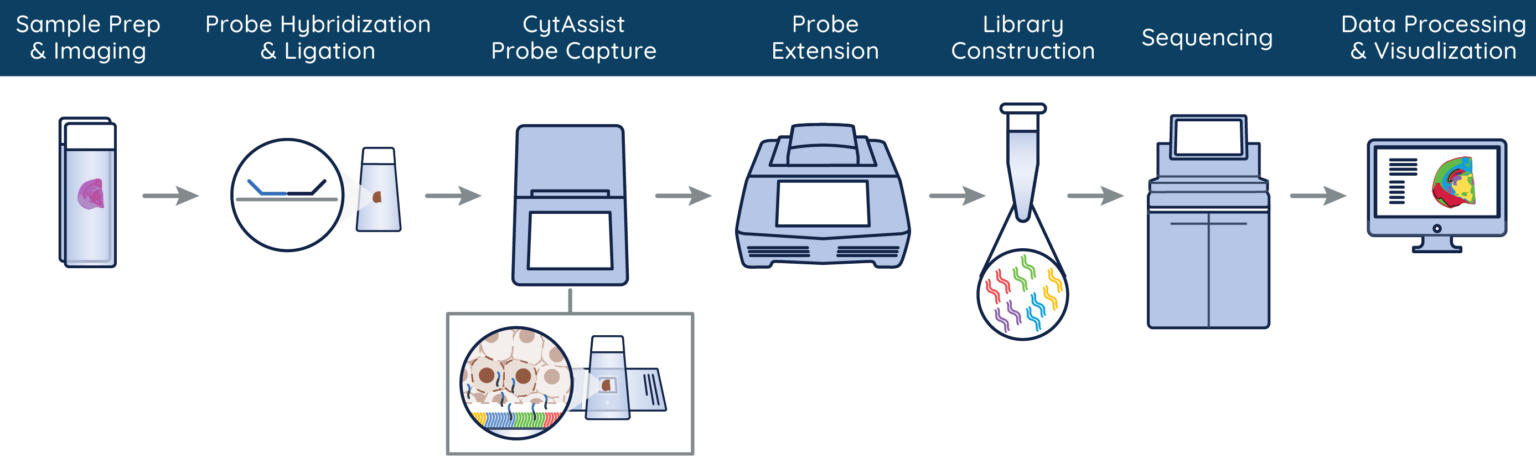 Histopathology Expertise Supports Spatial Transcriptomics Analysis ...